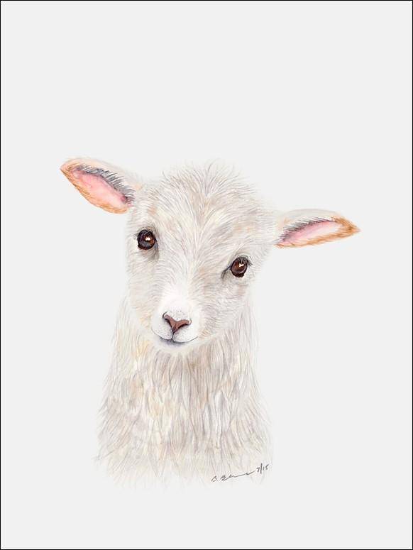 Lamb Portrait Canvas – Twinkle Twinkle Little One