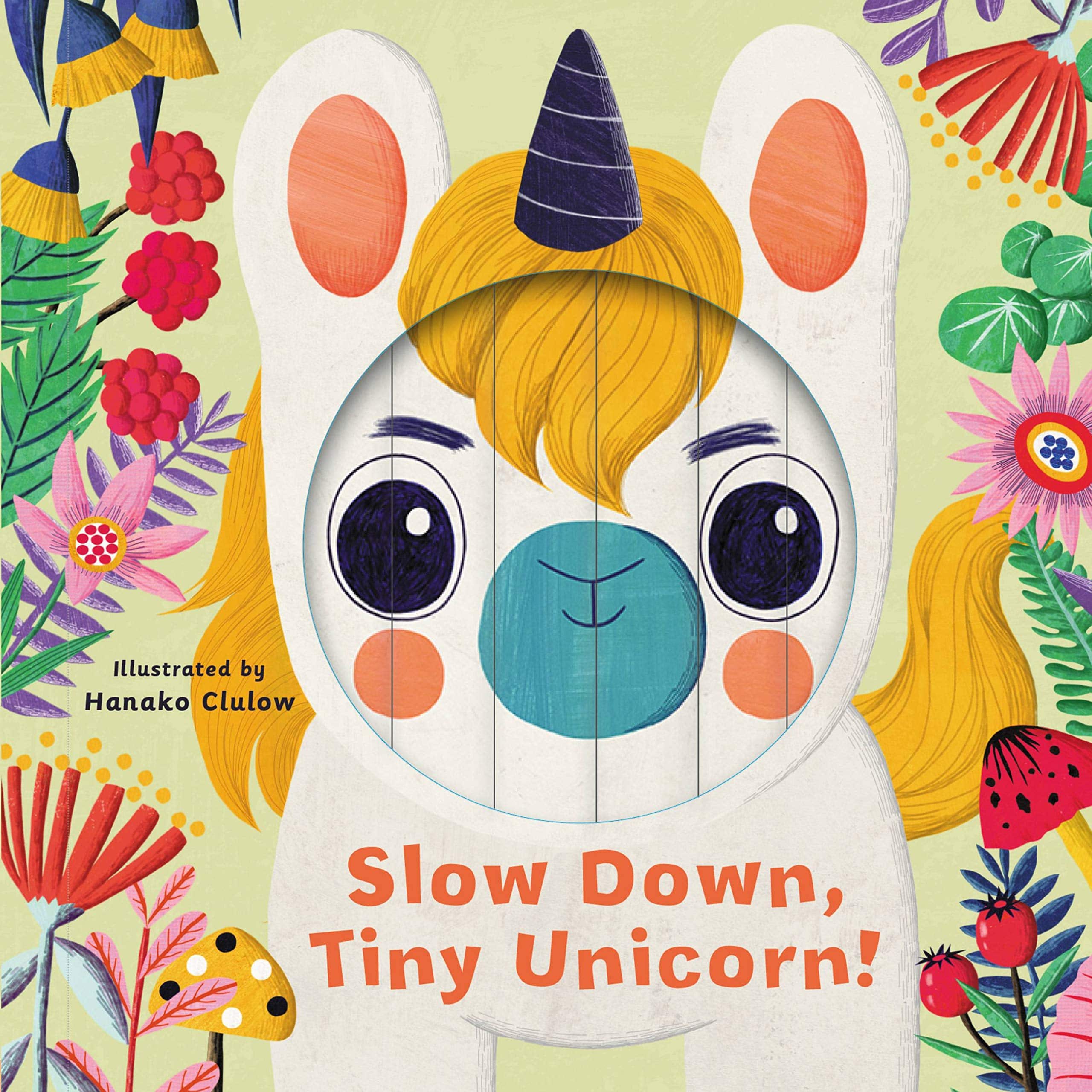 Slow Down Tiny Unicorn – Twinkle Twinkle Little One